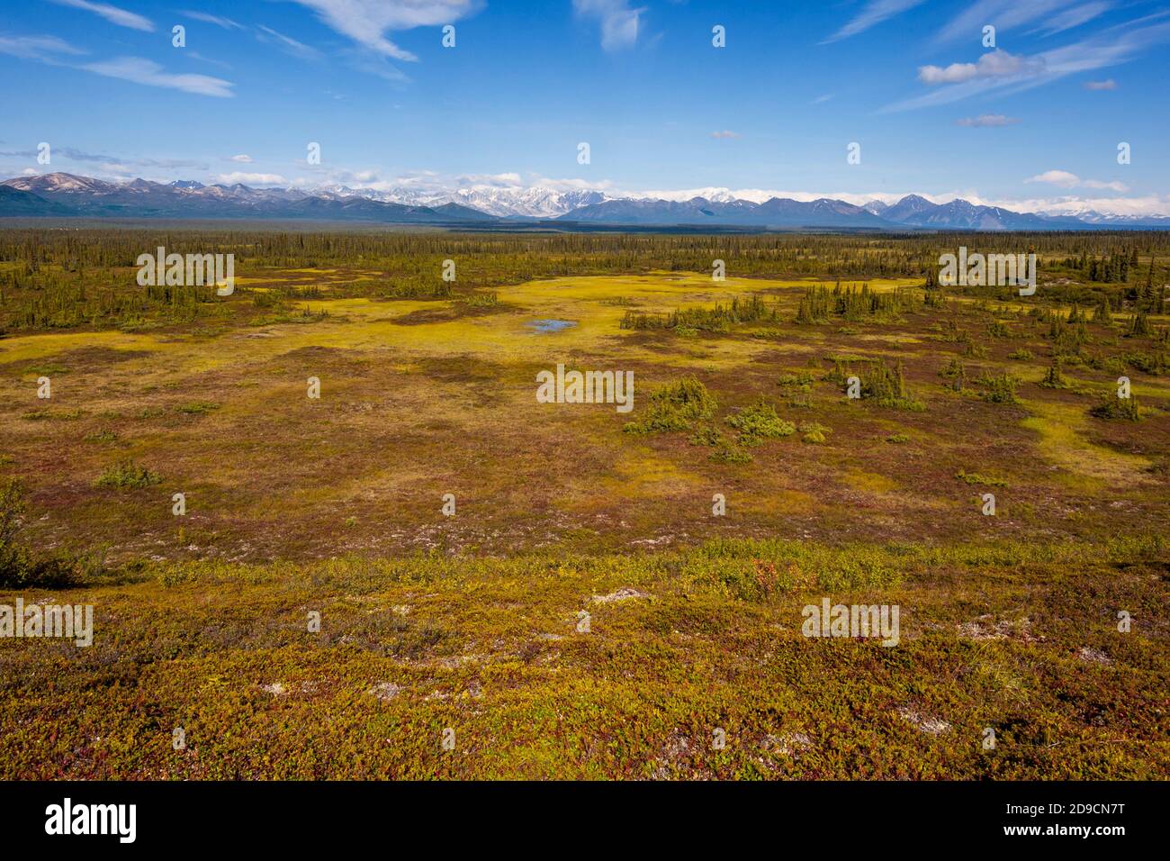 Taiga tundra hi-res stock photography and images - Alamy
