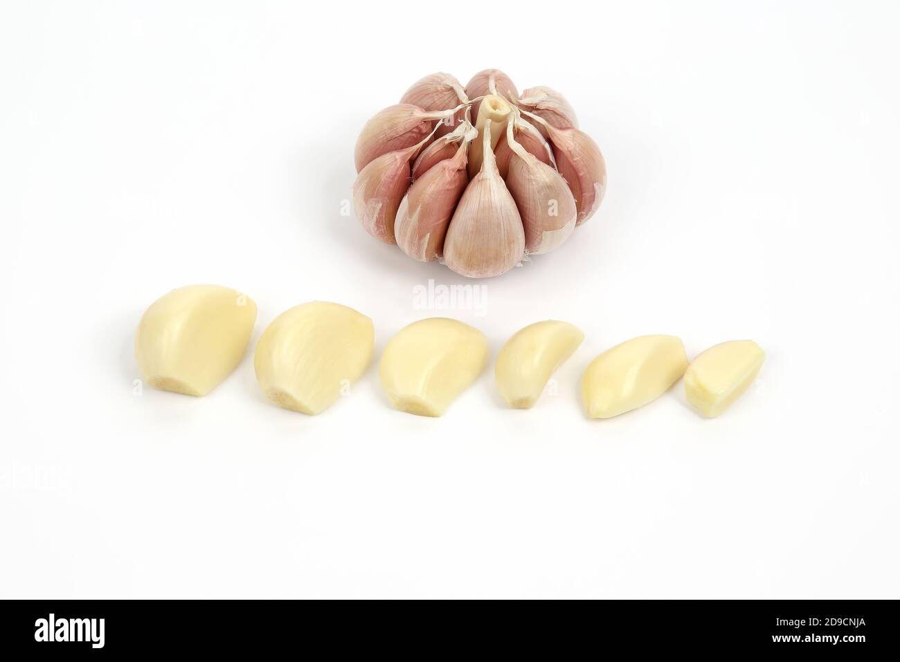 garlic head and cloves on white background Stock Photo - Alamy