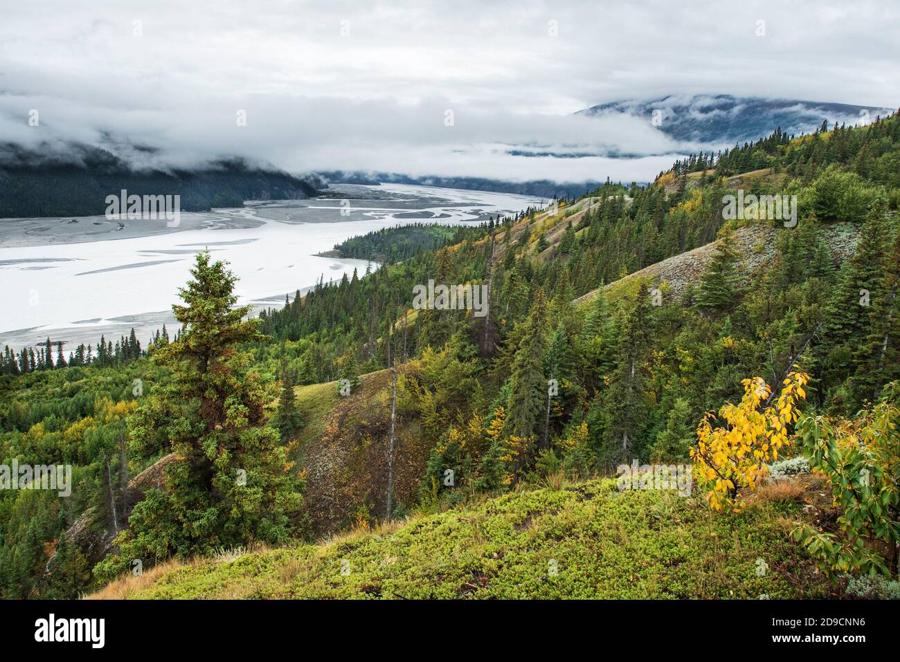 North America; United States; Wrangell Mountains; Chistochina Basin ...