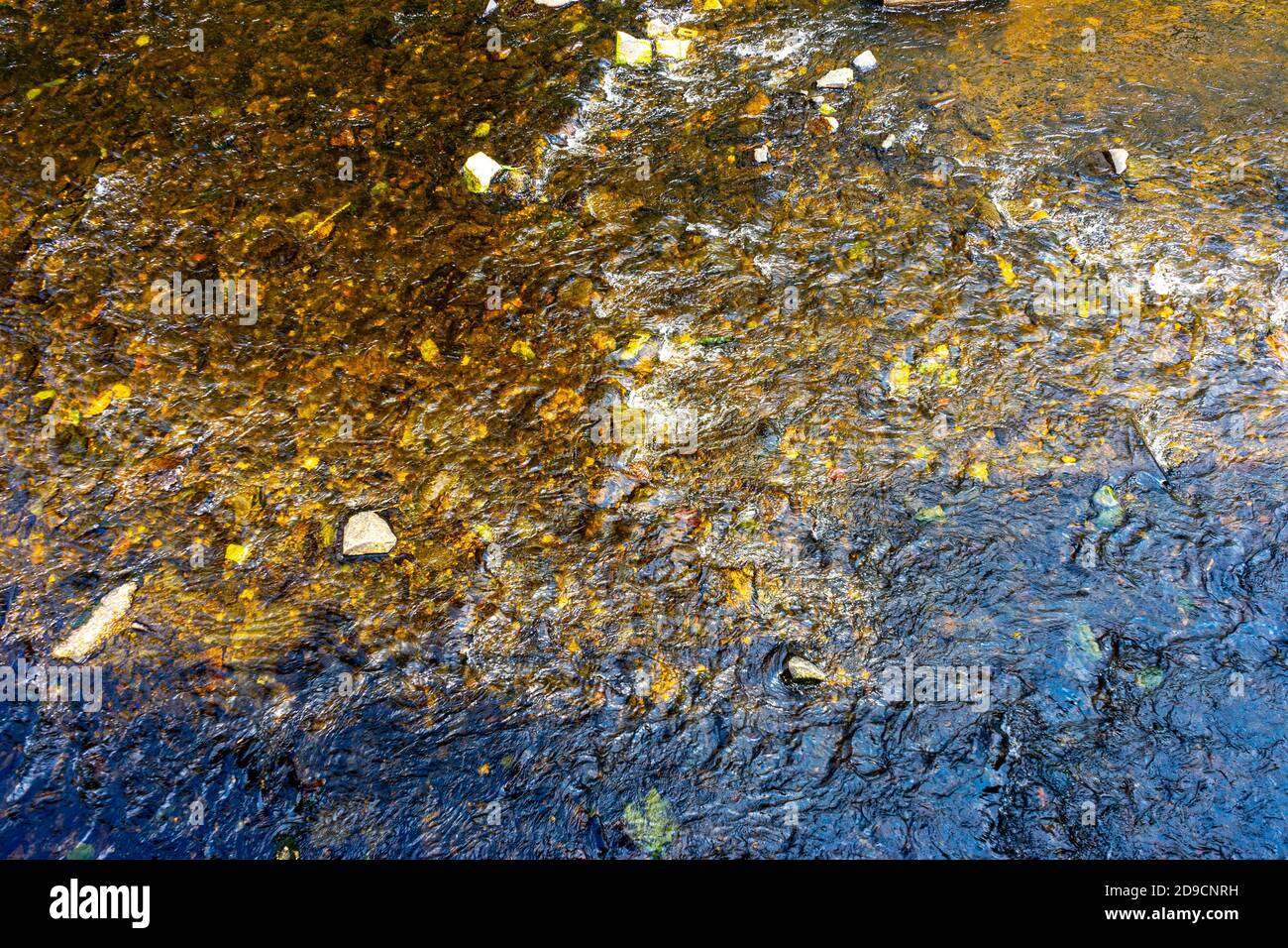 Closeup of transparent river water Stock Photo - Alamy