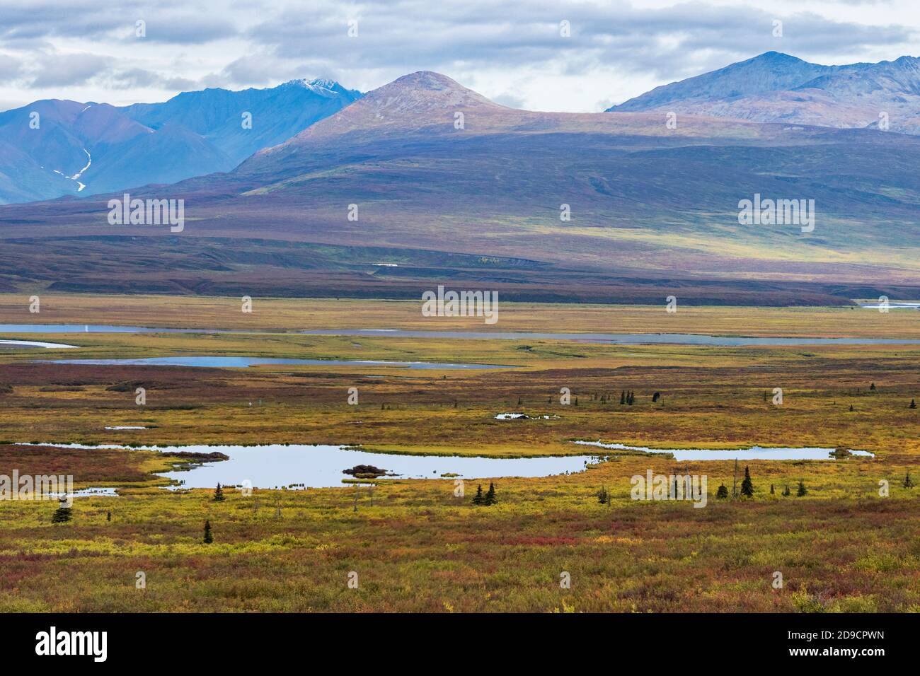North America; United States; Alaska; Alaska Range Mountains; Denali ...