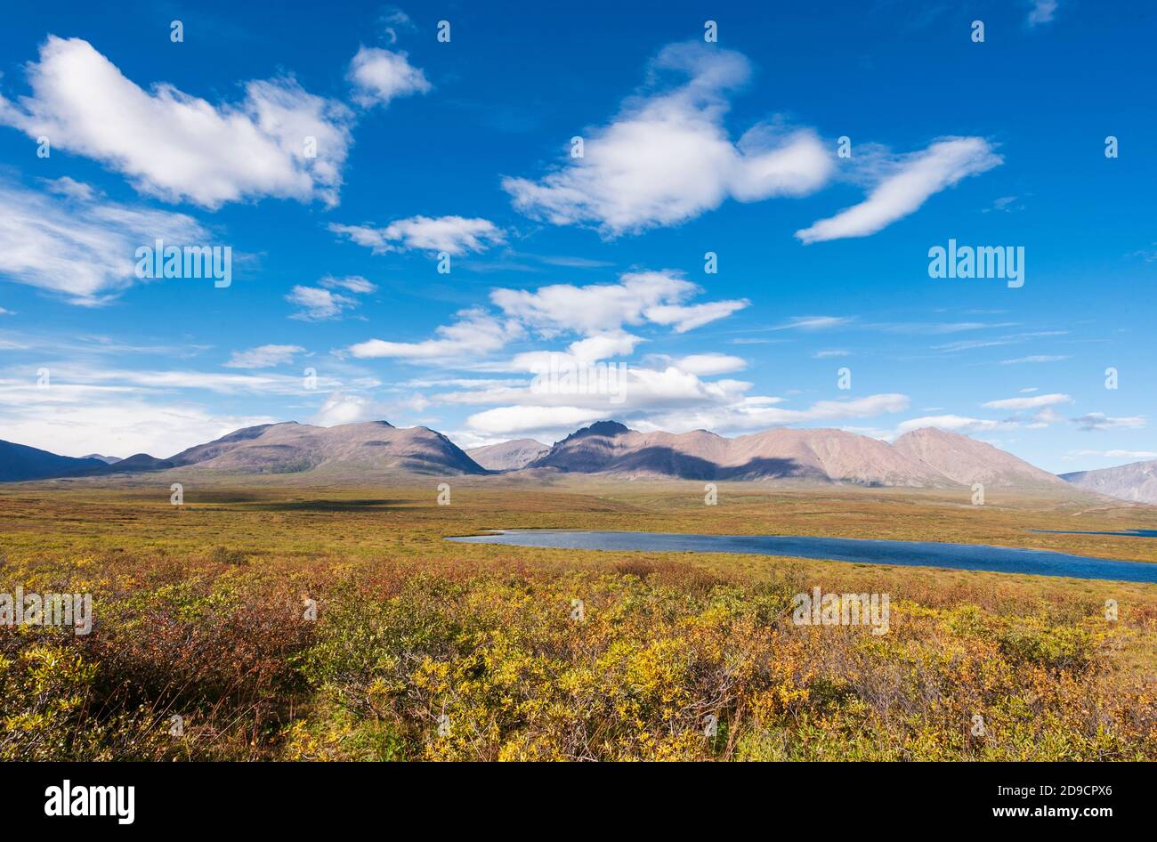 North America; United States; Alaska; Alaska Range Mountains; Denali ...