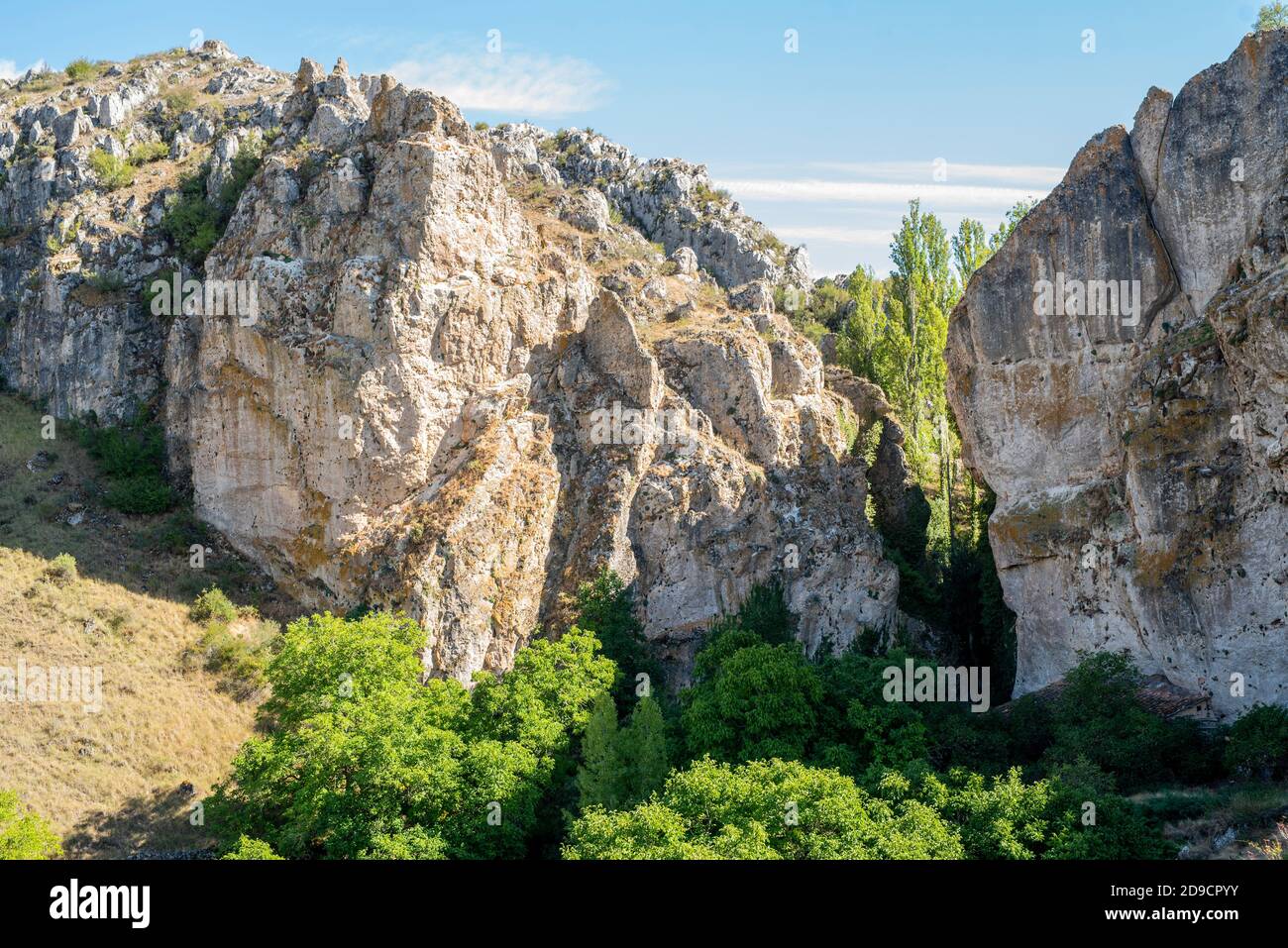 Scene scenery rock limestone tree hi-res stock photography and images ...