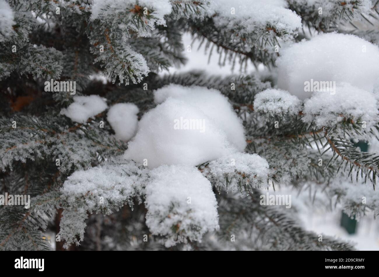 Closeup snow flake hi-res stock photography and images - Alamy
