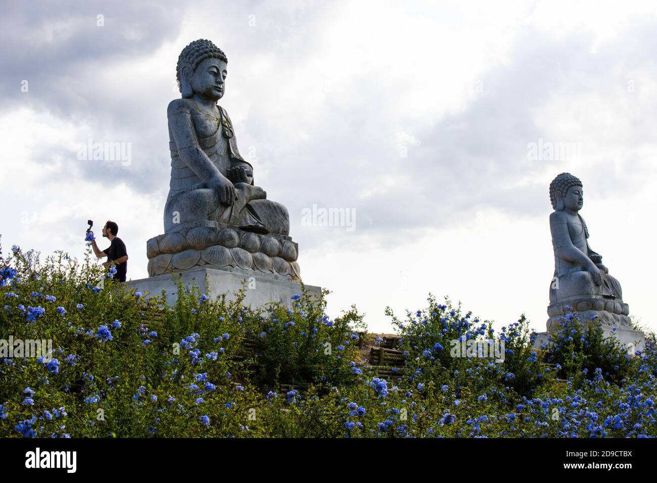 Buddha sculpture at Bacalhôa Buddha Eden, asian style garden, Quinta ...