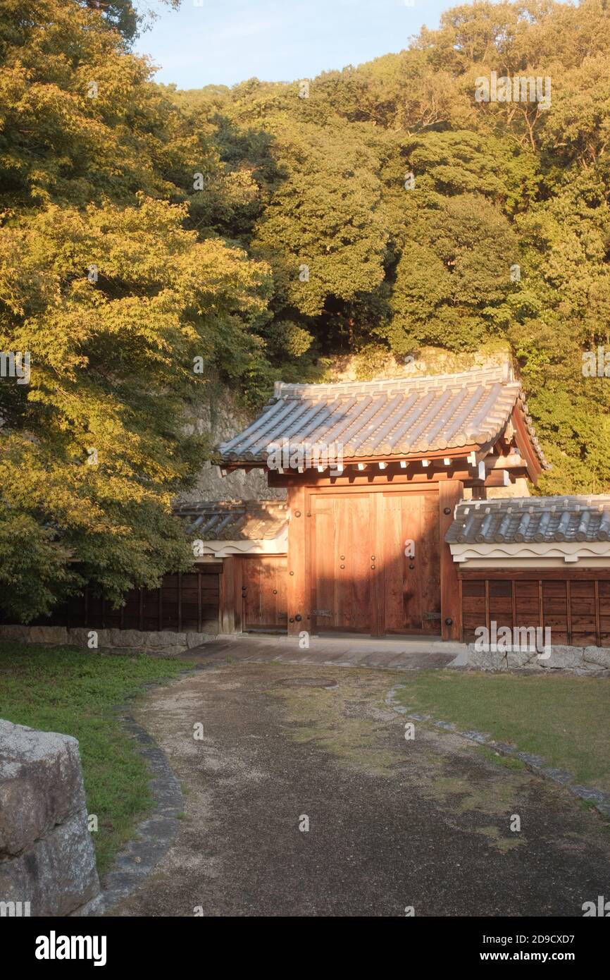 View of a traditional wooden house near a forest in Japan Stock Photo ...
