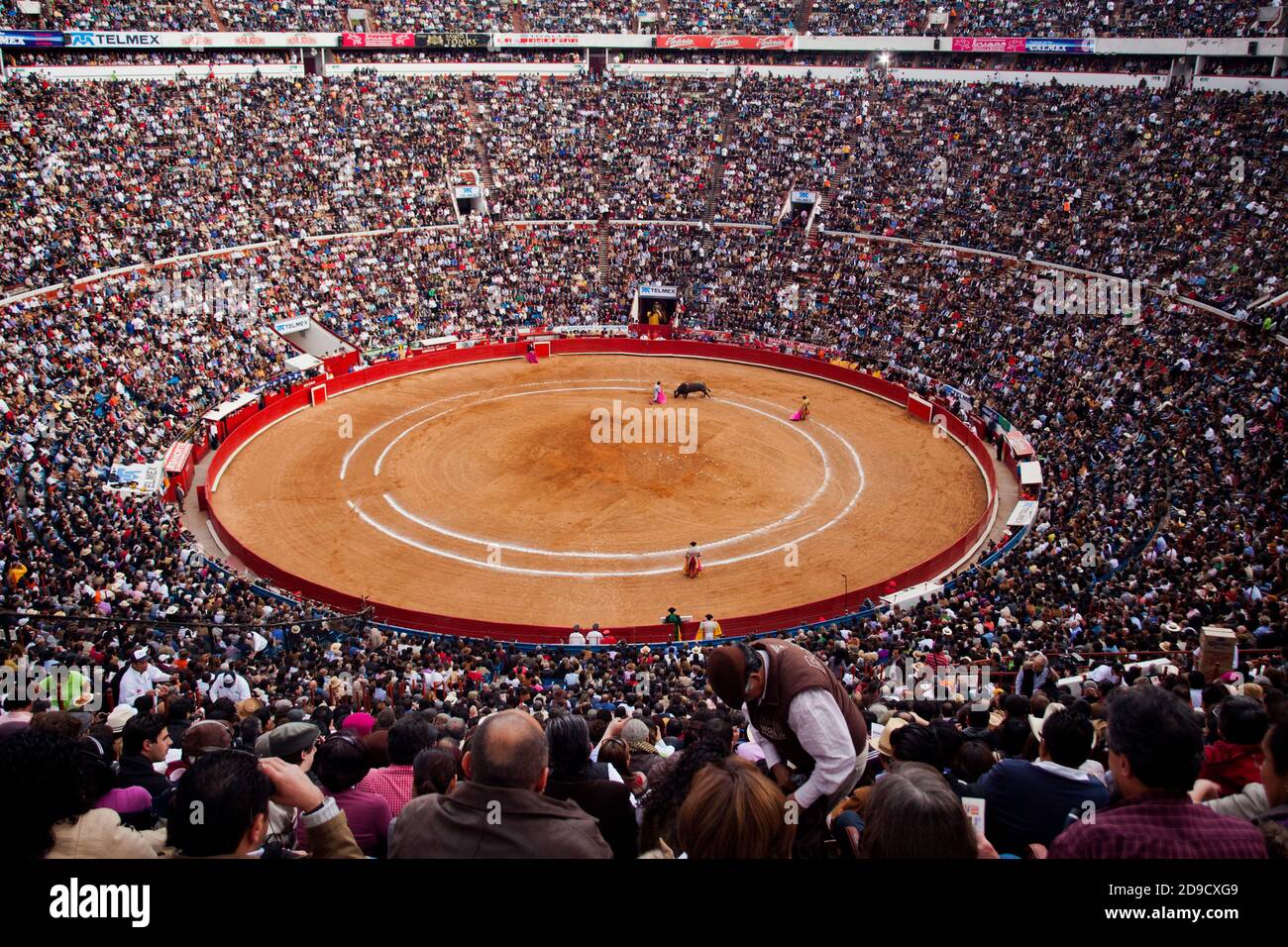 Matadors and bull in Plaza Mexico Bullring, Mexico City, Mexico Stock ...