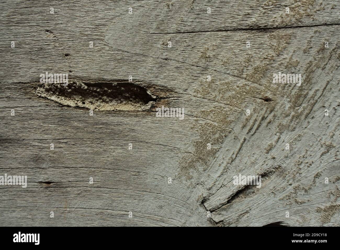 Closeup shot of an old wood pattern with a small hole as a background ...