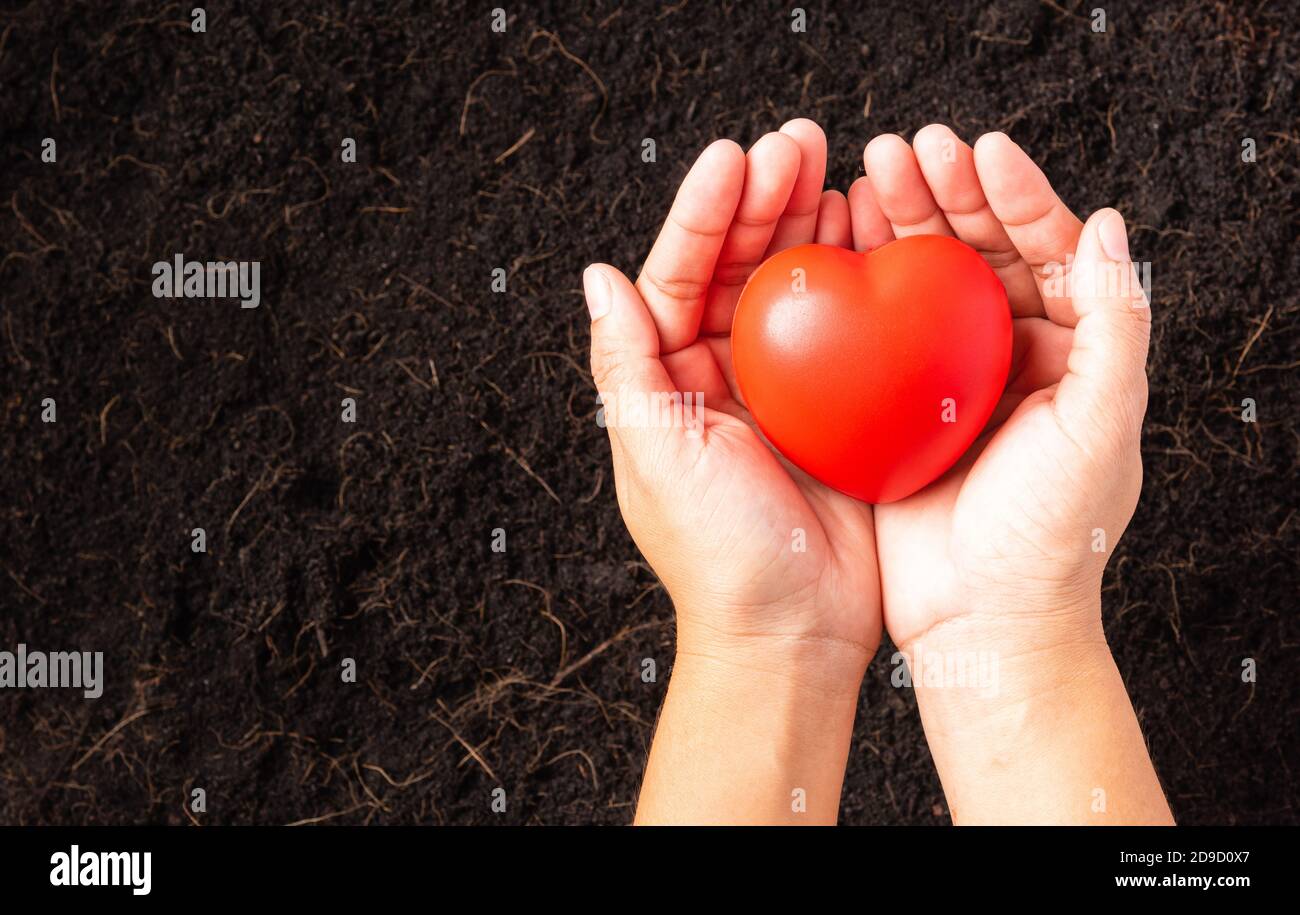 Top view of farmer woman hand holding red heart on compost fertile ...