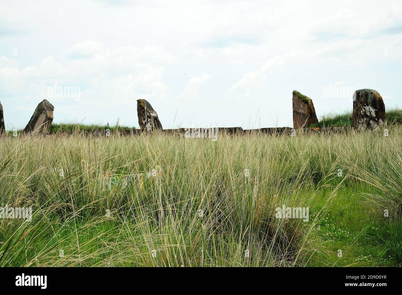 Remains of stone walls in the endless steppe overgrown with tall grass ...