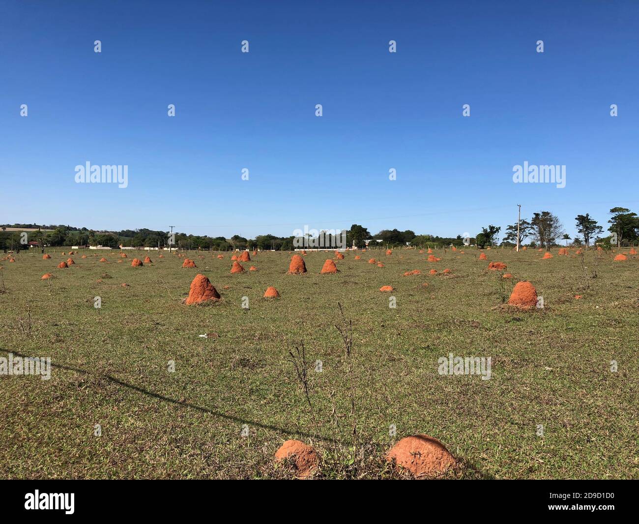 Brazil countryside hi-res stock photography and images - Alamy