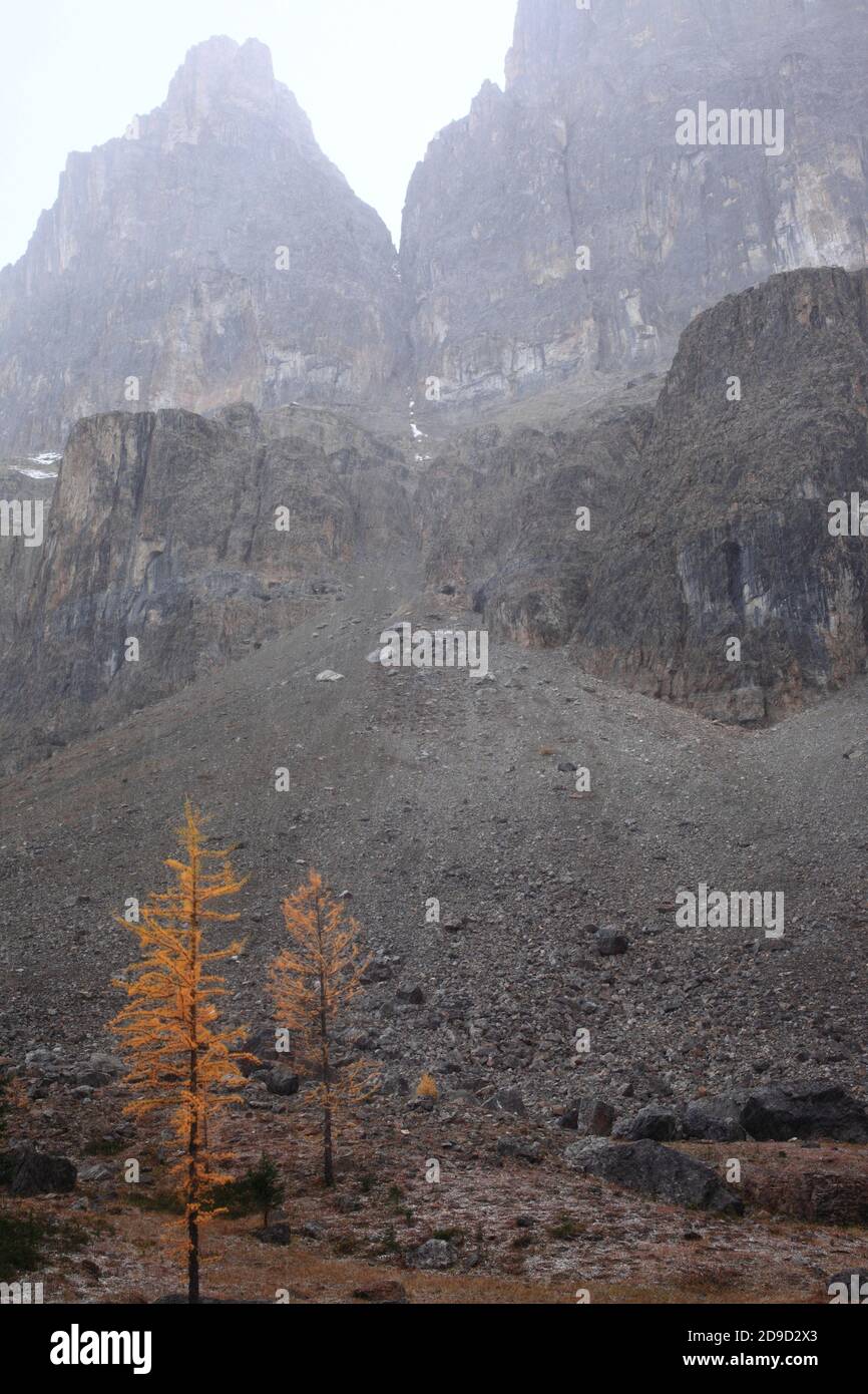 Seasonal change seasons hi-res stock photography and images - Alamy