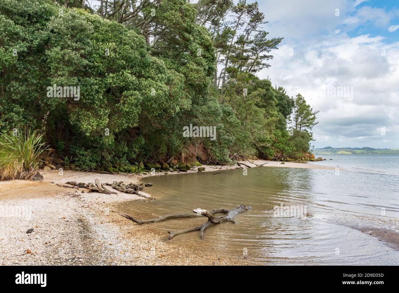 Small bay with sandy beach at Kaipara Stock Photo - Alamy