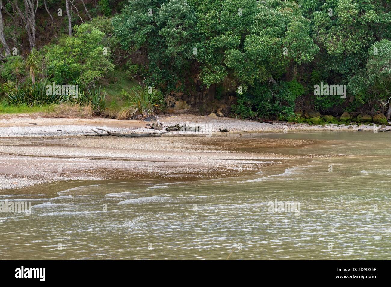 Kaipara harbour hi-res stock photography and images - Alamy