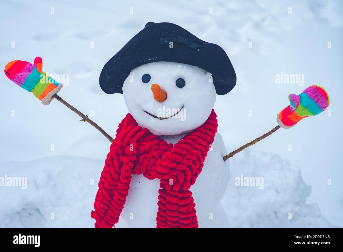 Snowman Carrot Nose High Resolution Stock Photography and Images - Alamy