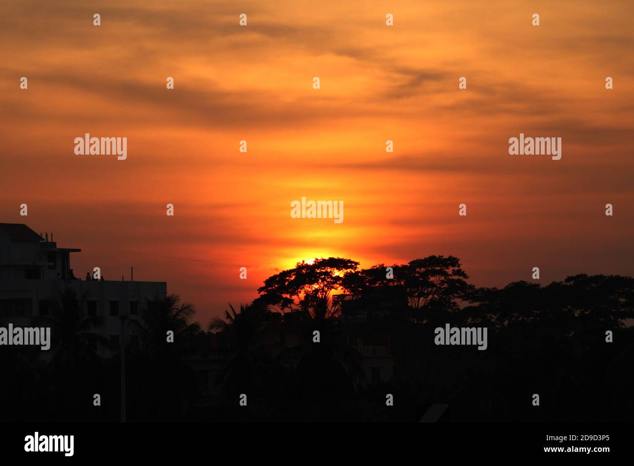 Sunlight capture hi-res stock photography and images - Alamy