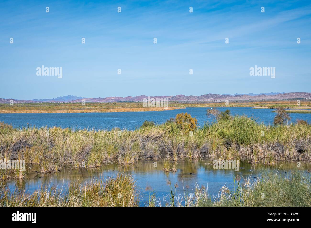 An overlooking view of nature in Yuma, Arizona Stock Photo - Alamy