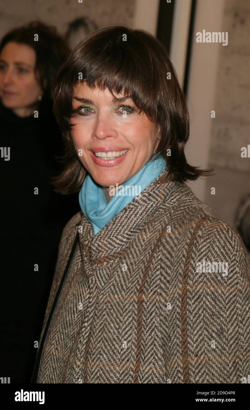 Debbie Dickinson attends the opening reception of "Pam: American Icon ...