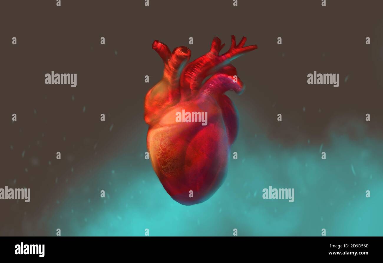 Cardiac muscle science hi-res stock photography and images - Alamy