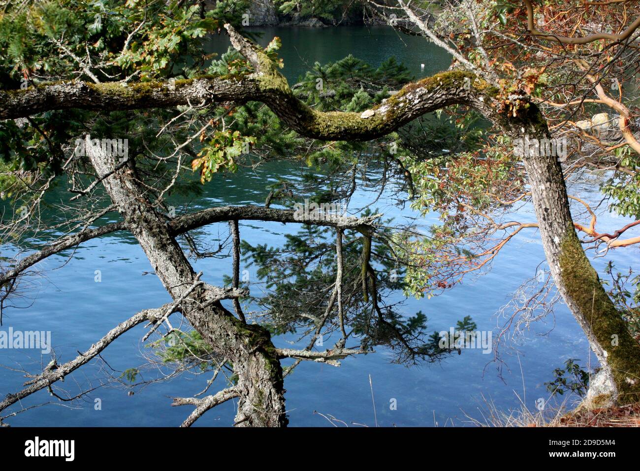 Ruckle provincial park salt spring island hi-res stock photography and ...
