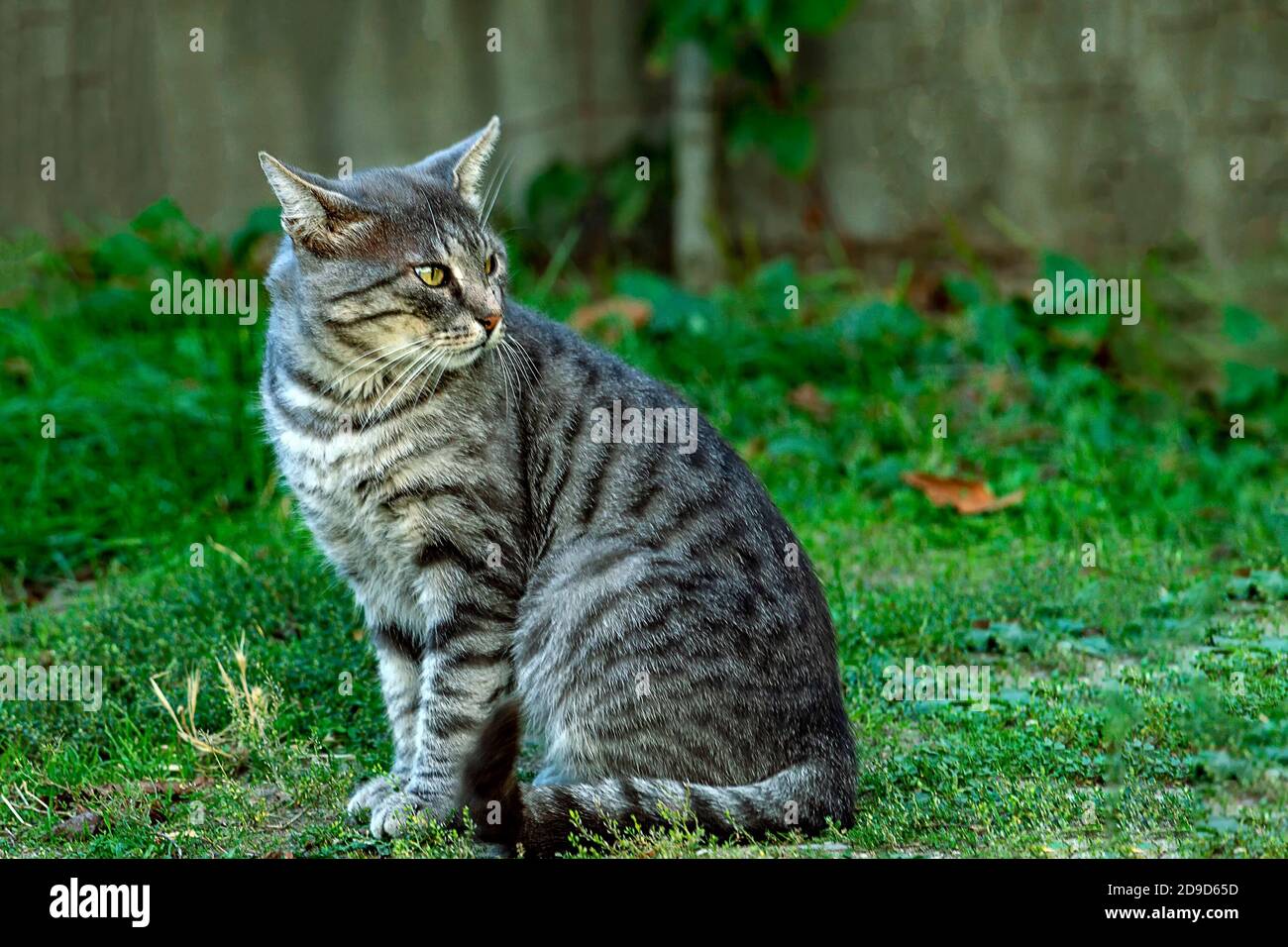 Shooting in nature hi-res stock photography and images - Alamy