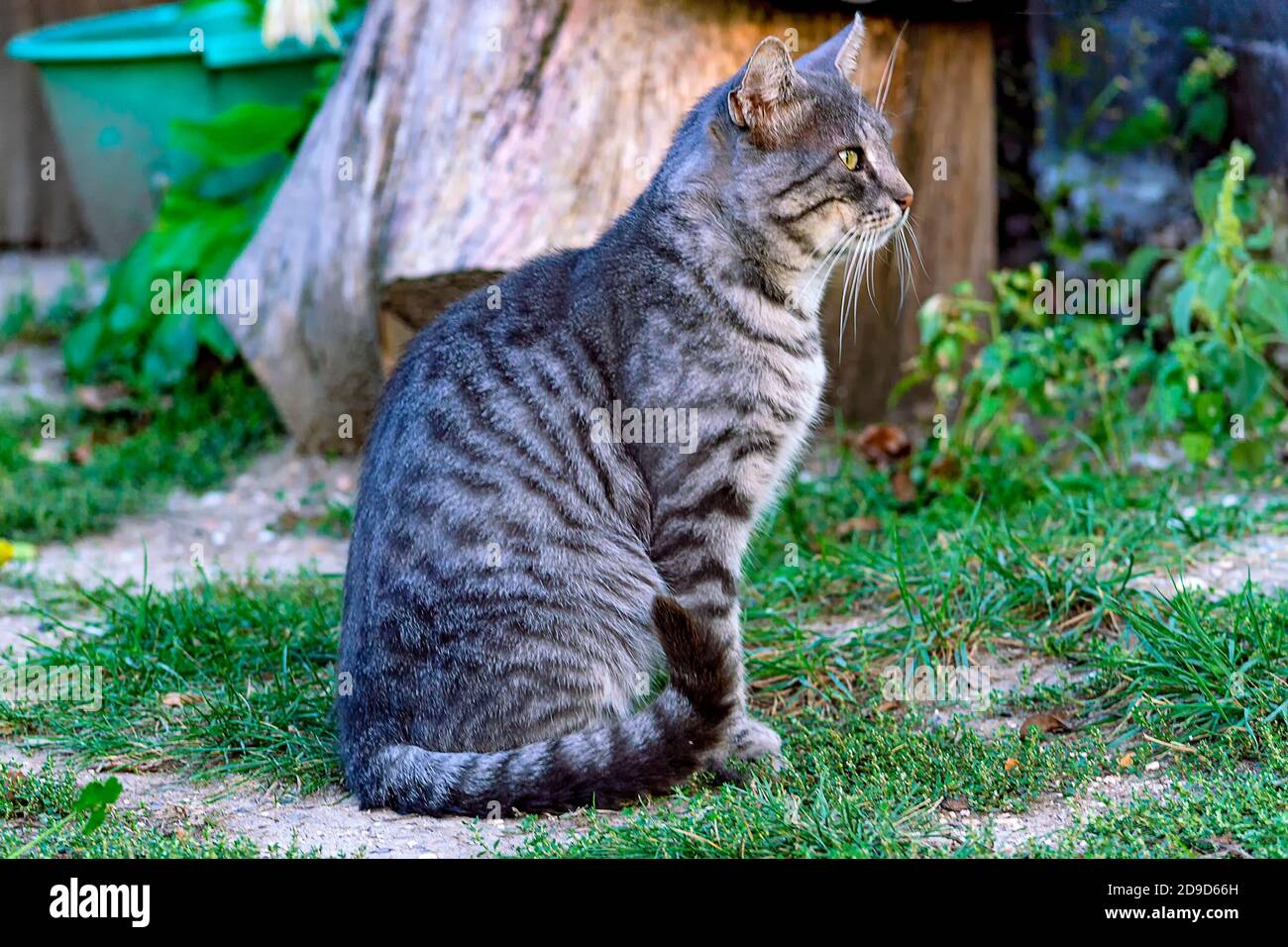 Shooting in nature hi-res stock photography and images - Alamy