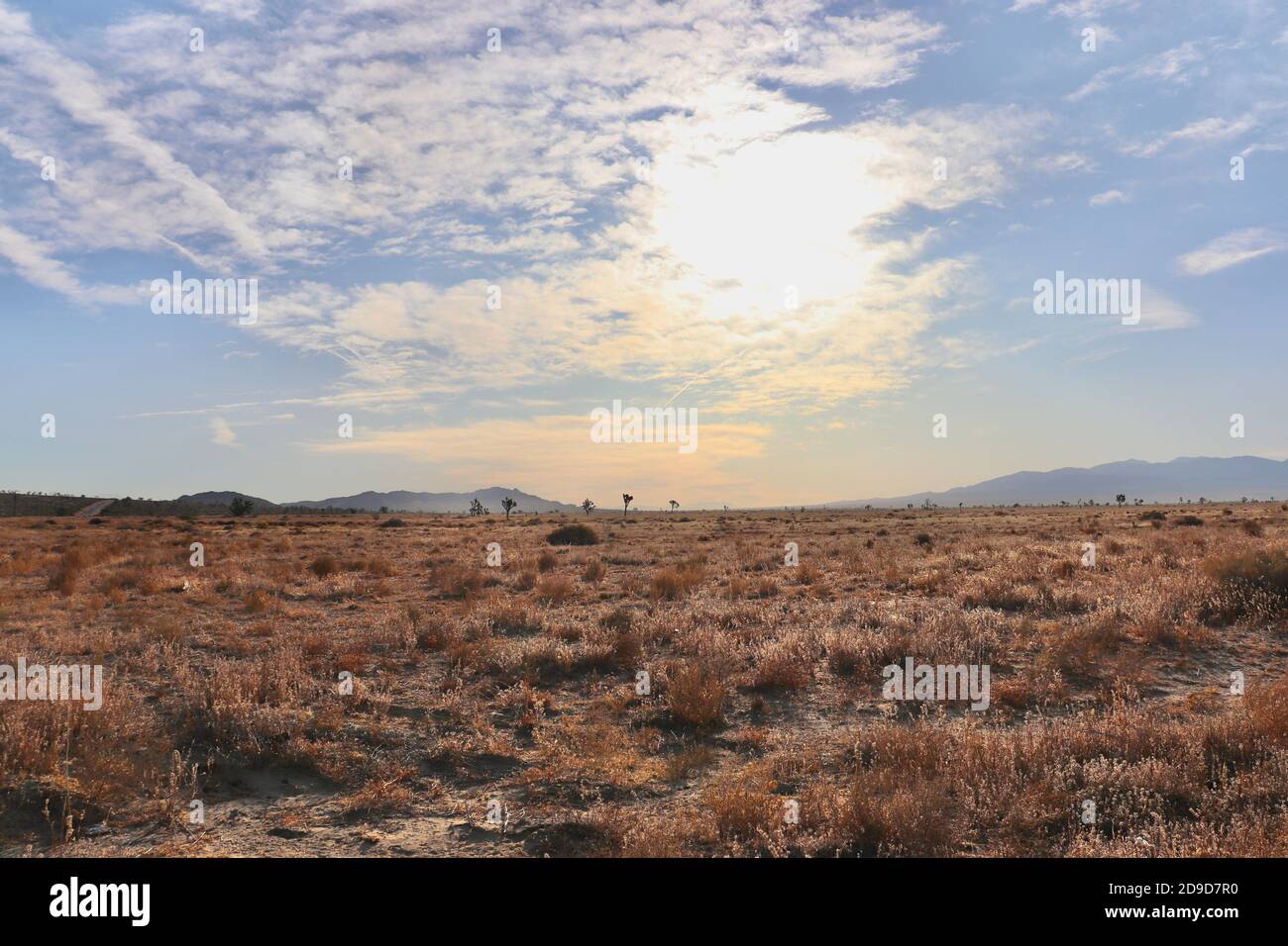 Landscape view of the desert in Southern California Stock Photo - Alamy