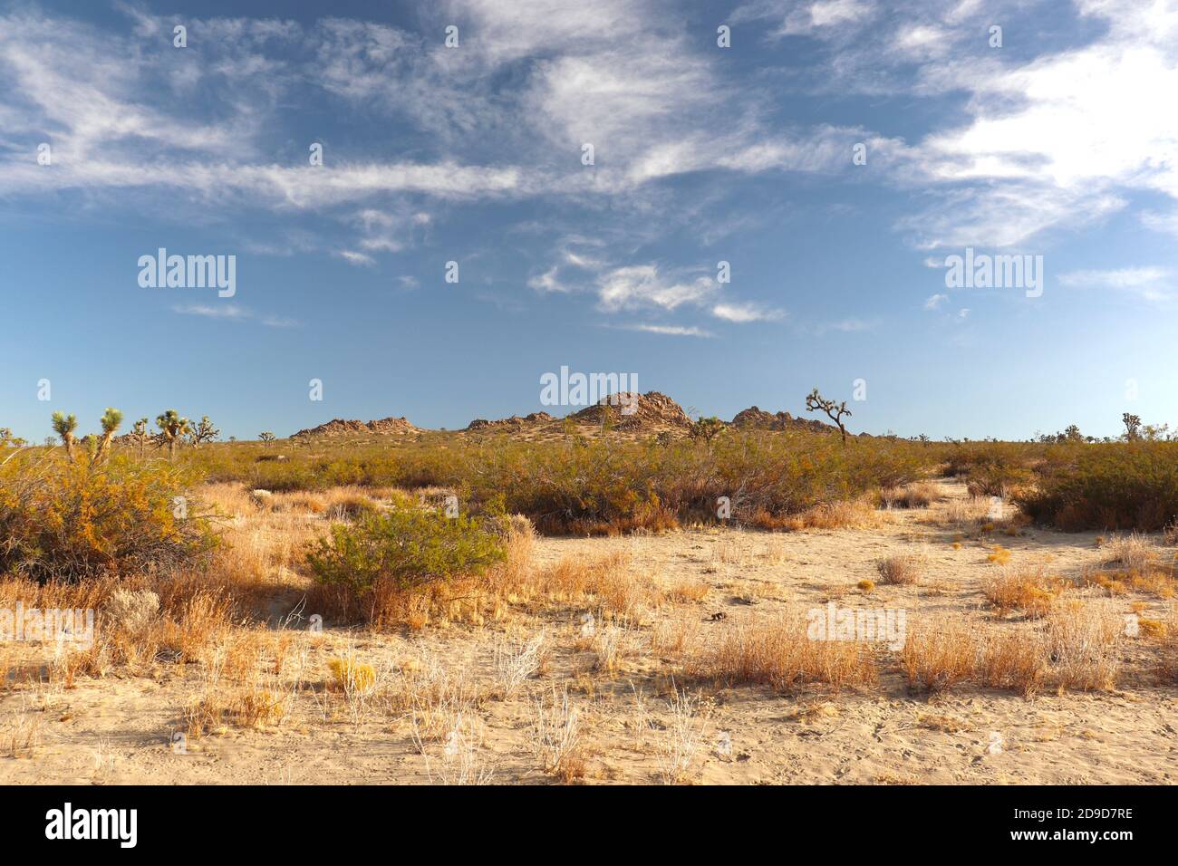 Landscape view of the desert in Southern California Stock Photo - Alamy