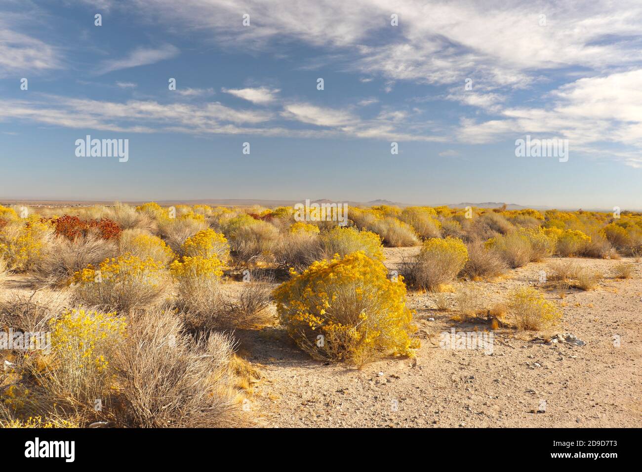 Landscape view of the desert in Southern California Stock Photo - Alamy