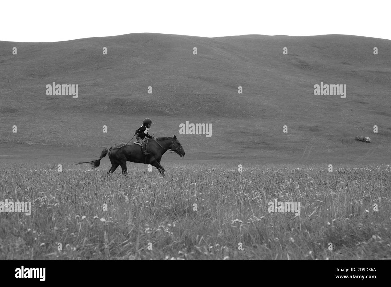 Naadam Festival Mongolia Stock Photo - Alamy