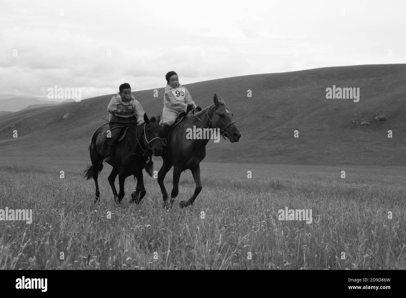Naadam Festival Mongolia Stock Photo - Alamy
