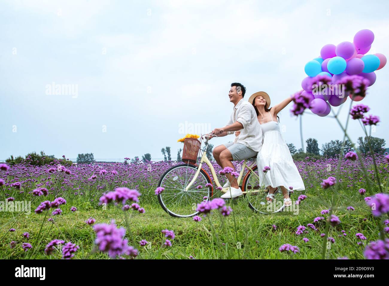 Romantic couple cycling in the flower sea Stock Photo - Alamy