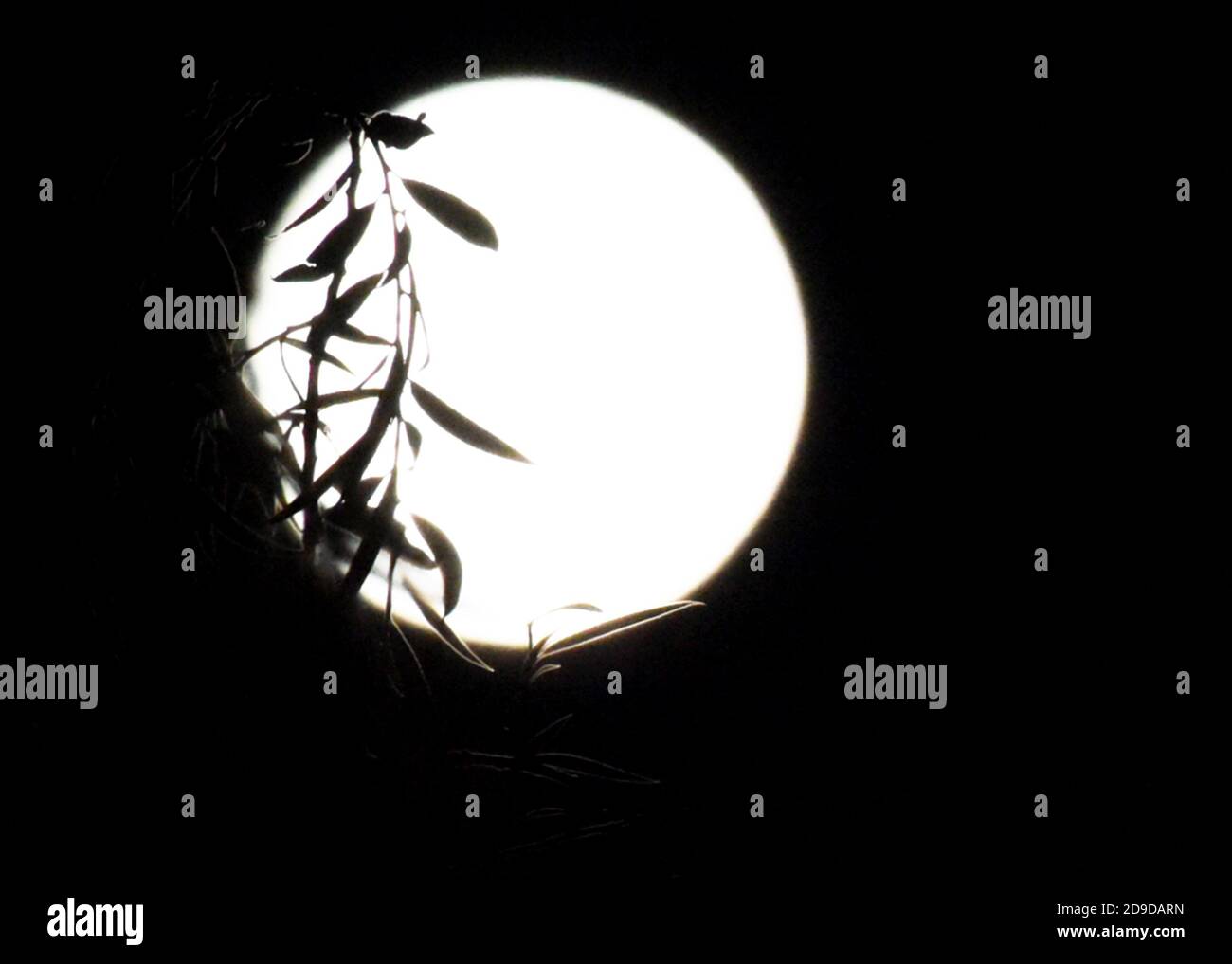 A full moon is seen above traditional Chinese-style building at Mid ...