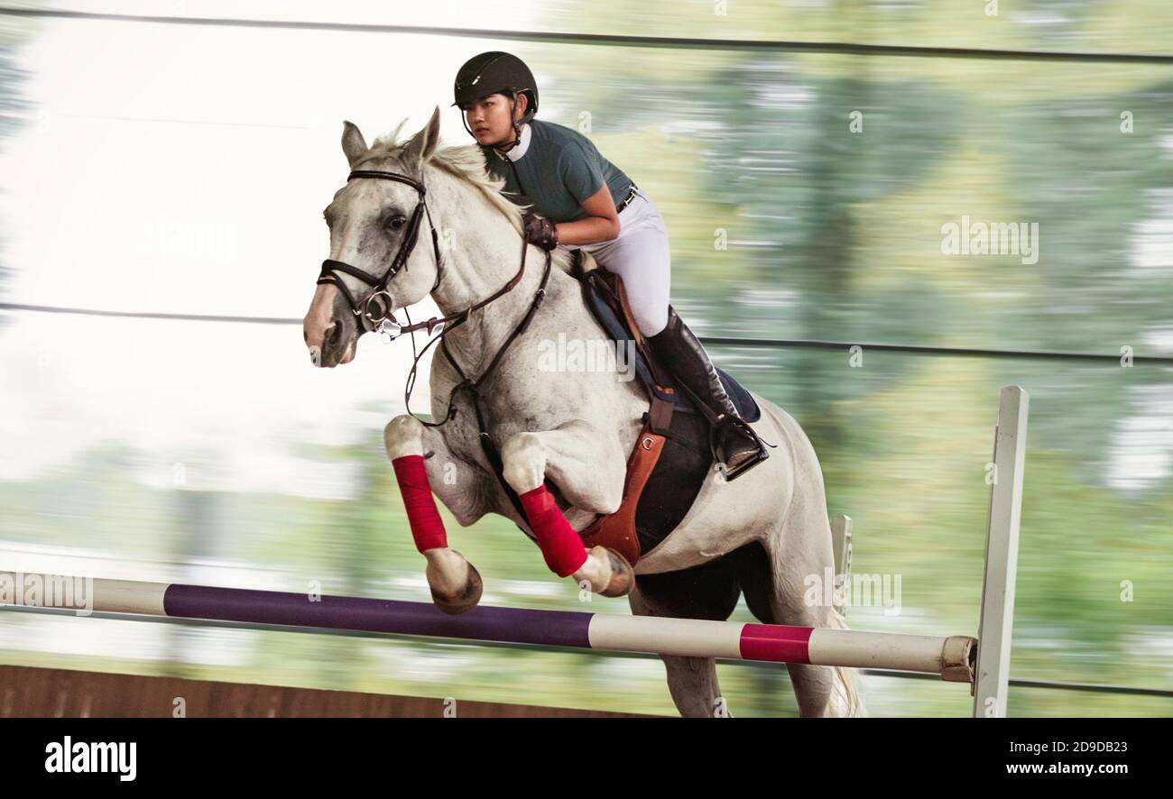 Riding a horse jump barrier bar handsome young girl Stock Photo - Alamy