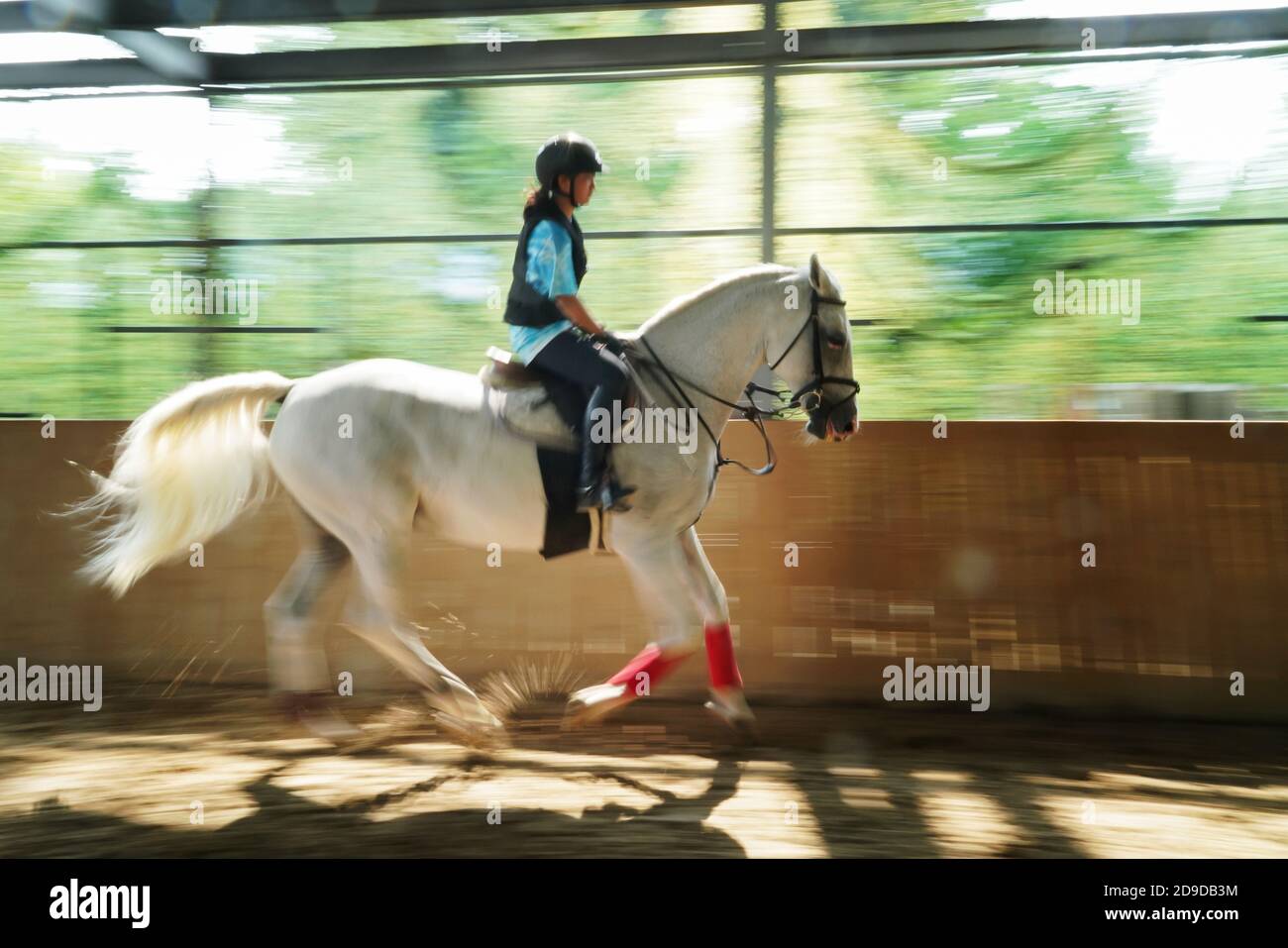 Rode the horse racecourse teenagers Stock Photo - Alamy