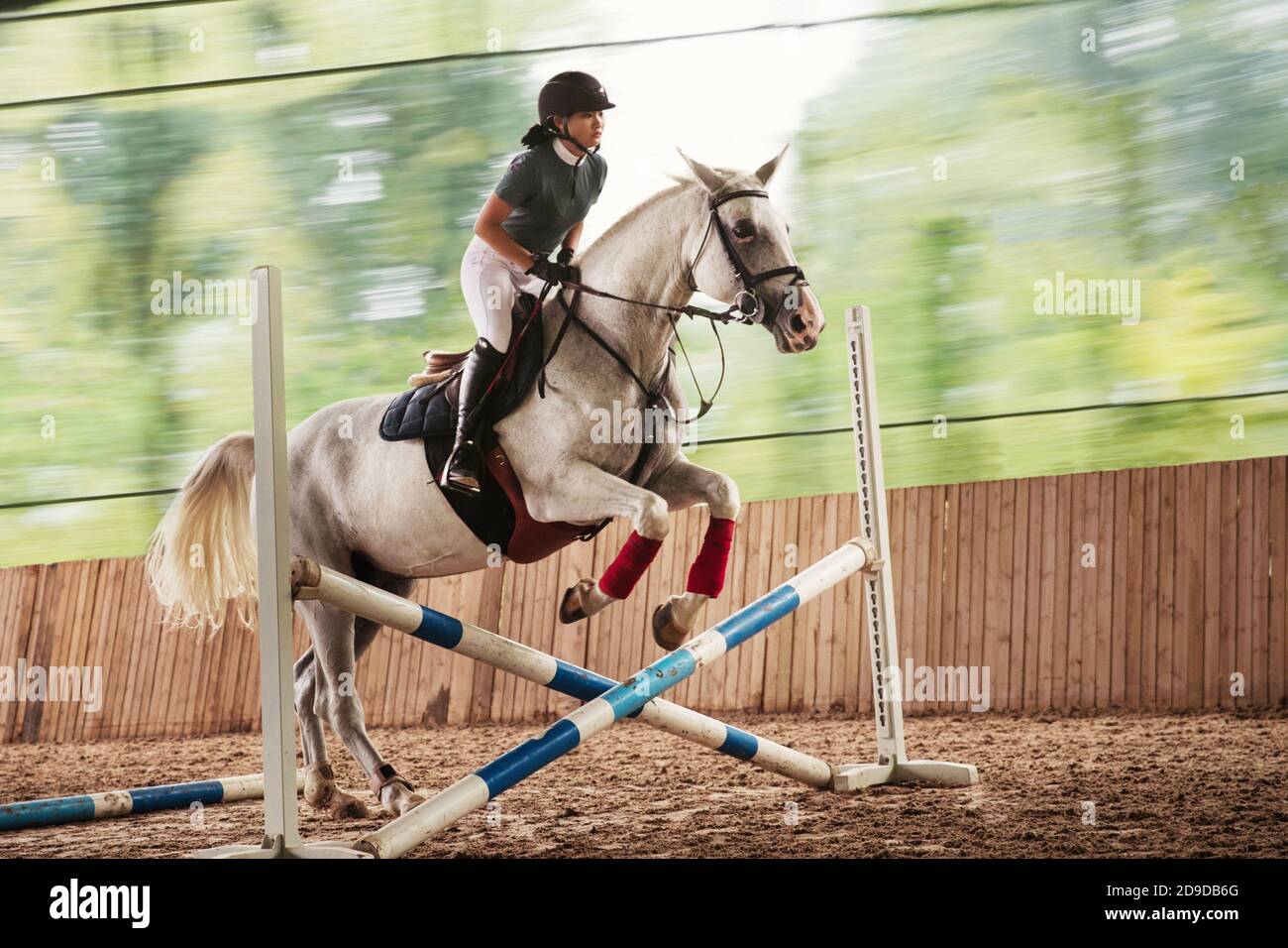 Riding a horse jump barrier bar handsome young girl Stock Photo - Alamy