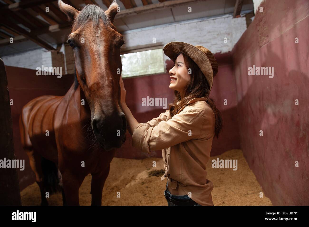 The stable of young women and horses Stock Photo - Alamy