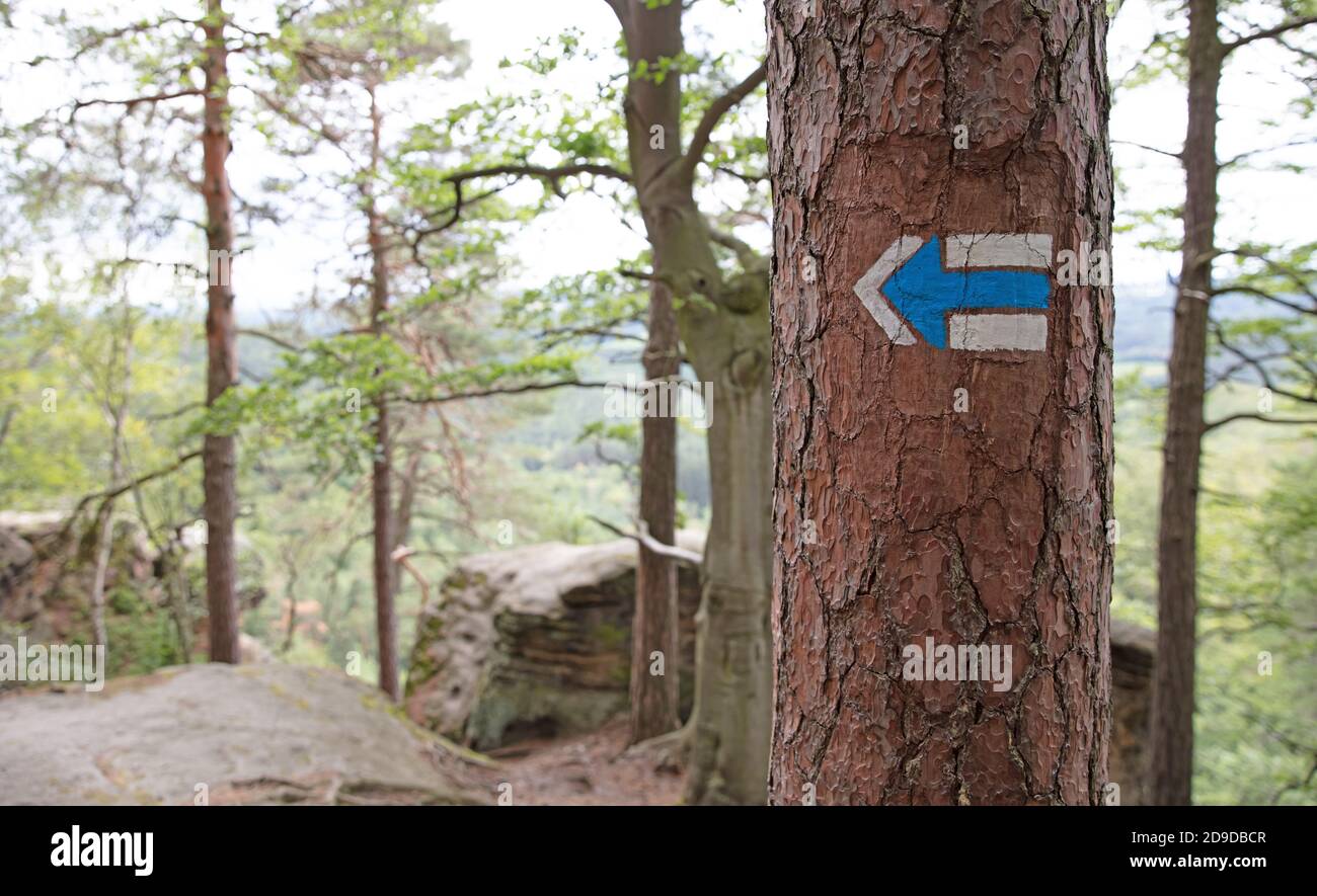 Marking the tourist route painted on the tree - Travel route sign Stock ...