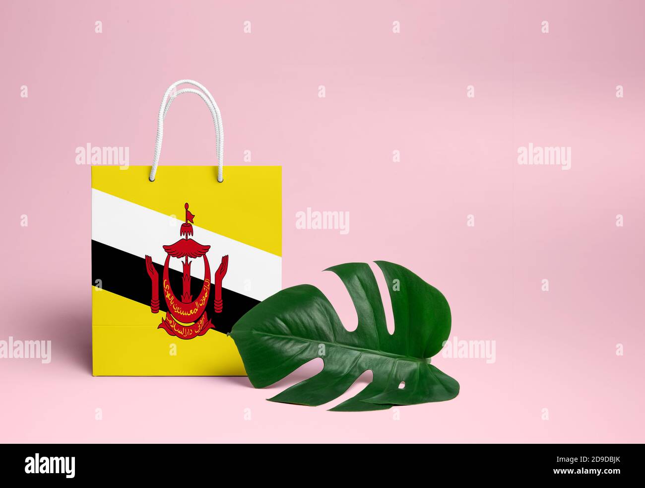 Brunei shopping concept. National cardboard shopping bag with monstera ...