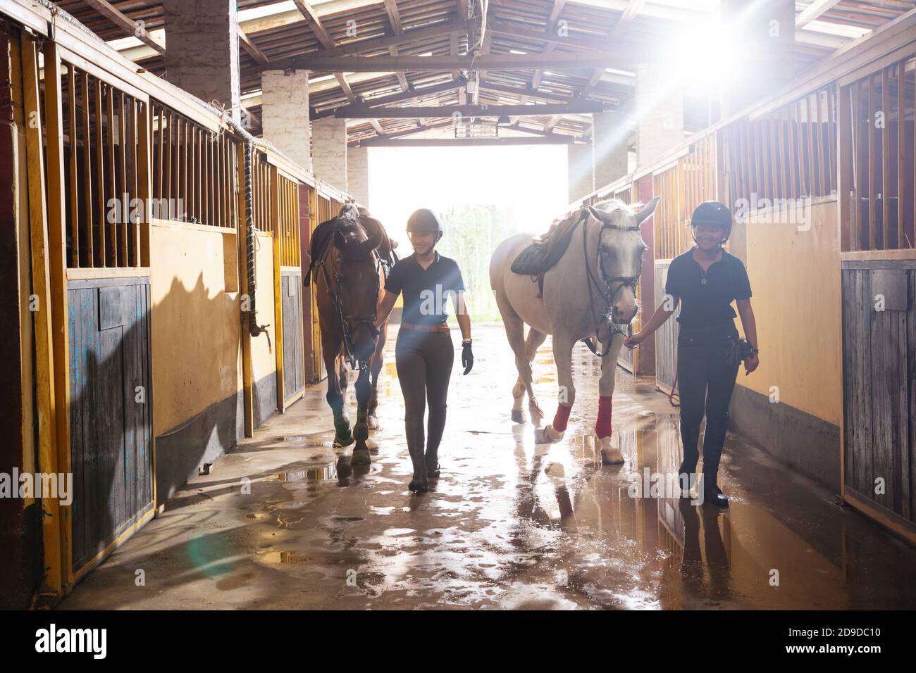 The horse stable happy sisters Stock Photo - Alamy