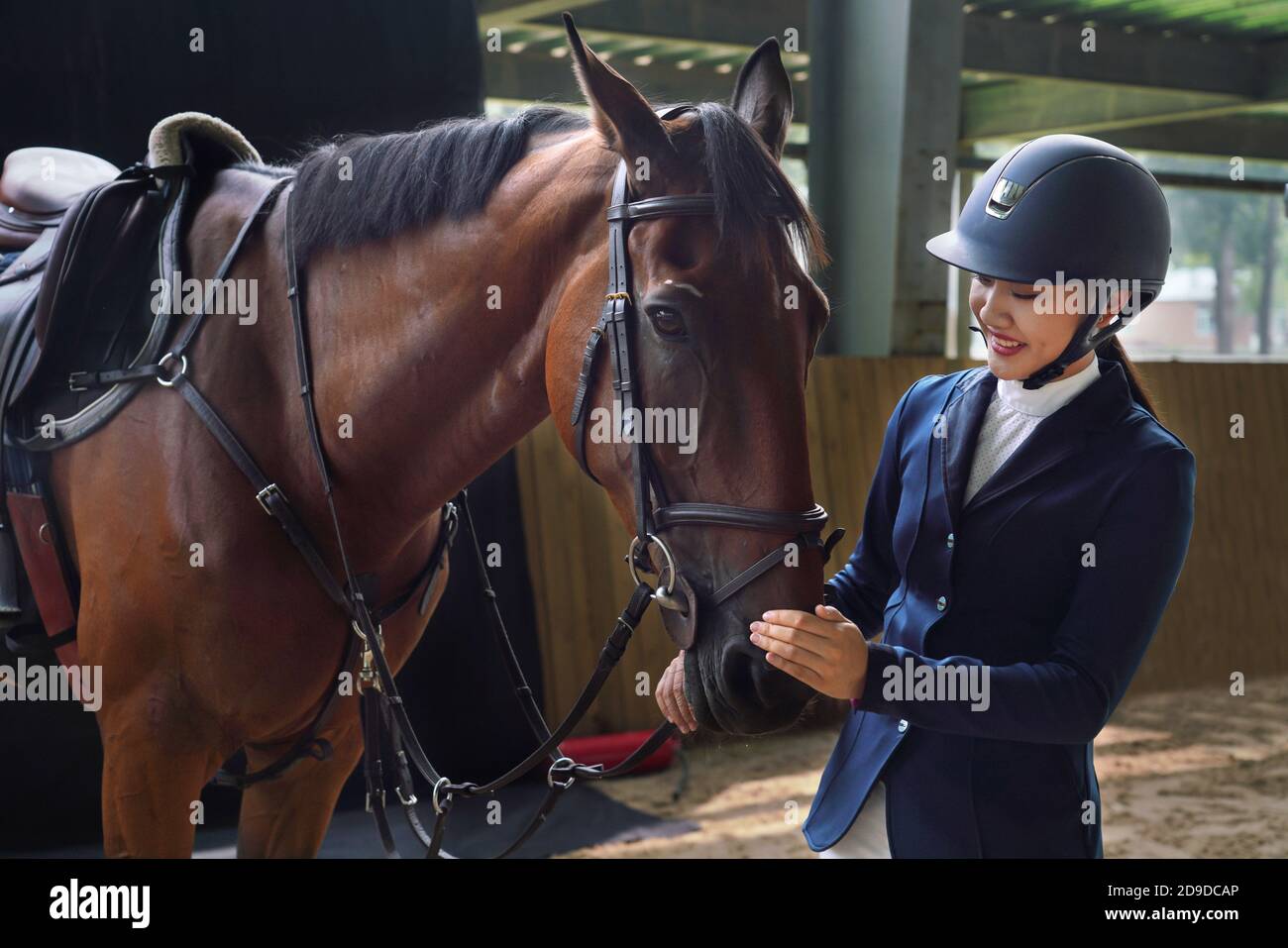 The stable calm horse young woman Stock Photo - Alamy