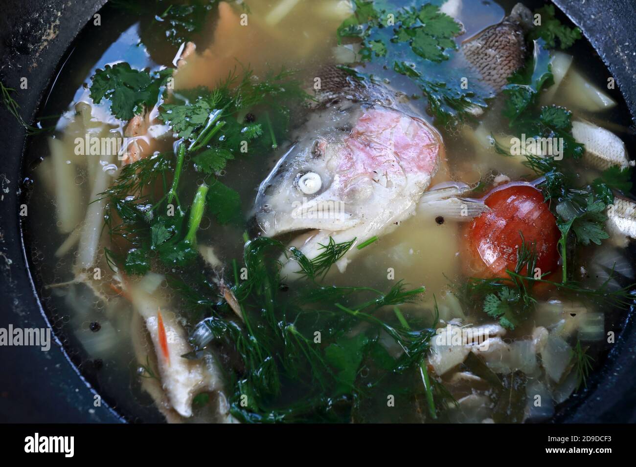 Cooking of russian fish soup in cauldron on picnic Stock Photo - Alamy
