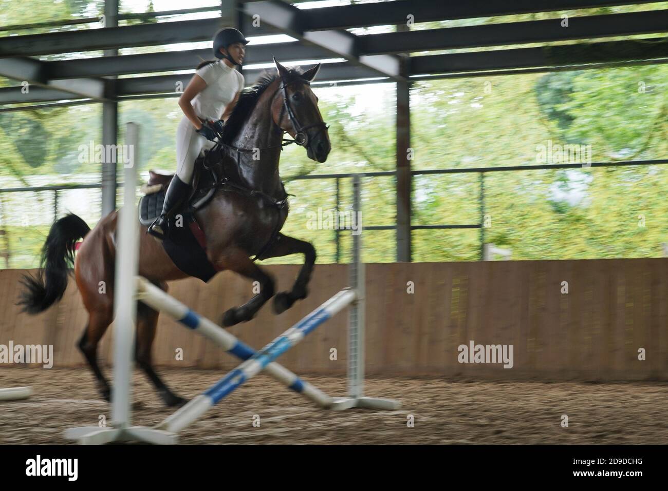 Riding a horse jump barrier bar young woman Stock Photo - Alamy
