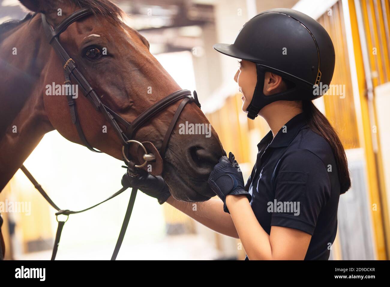 The stable calm horse young woman Stock Photo - Alamy