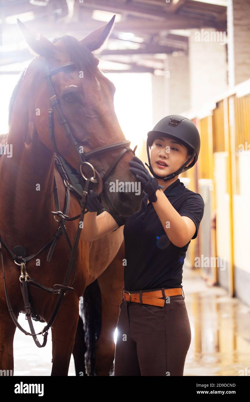 The stable calm horse young woman Stock Photo - Alamy