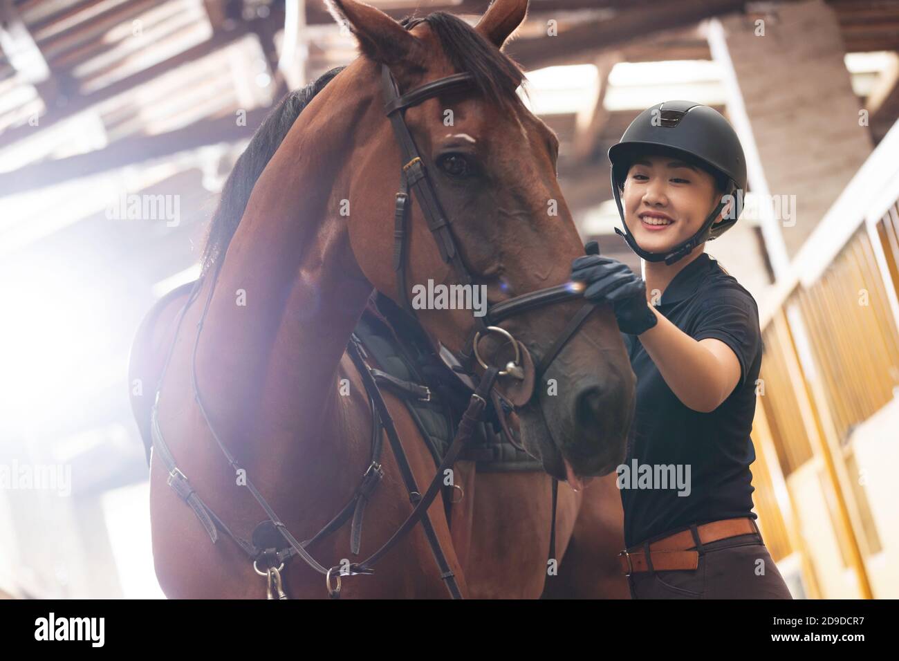 The stable calm horse young woman Stock Photo - Alamy