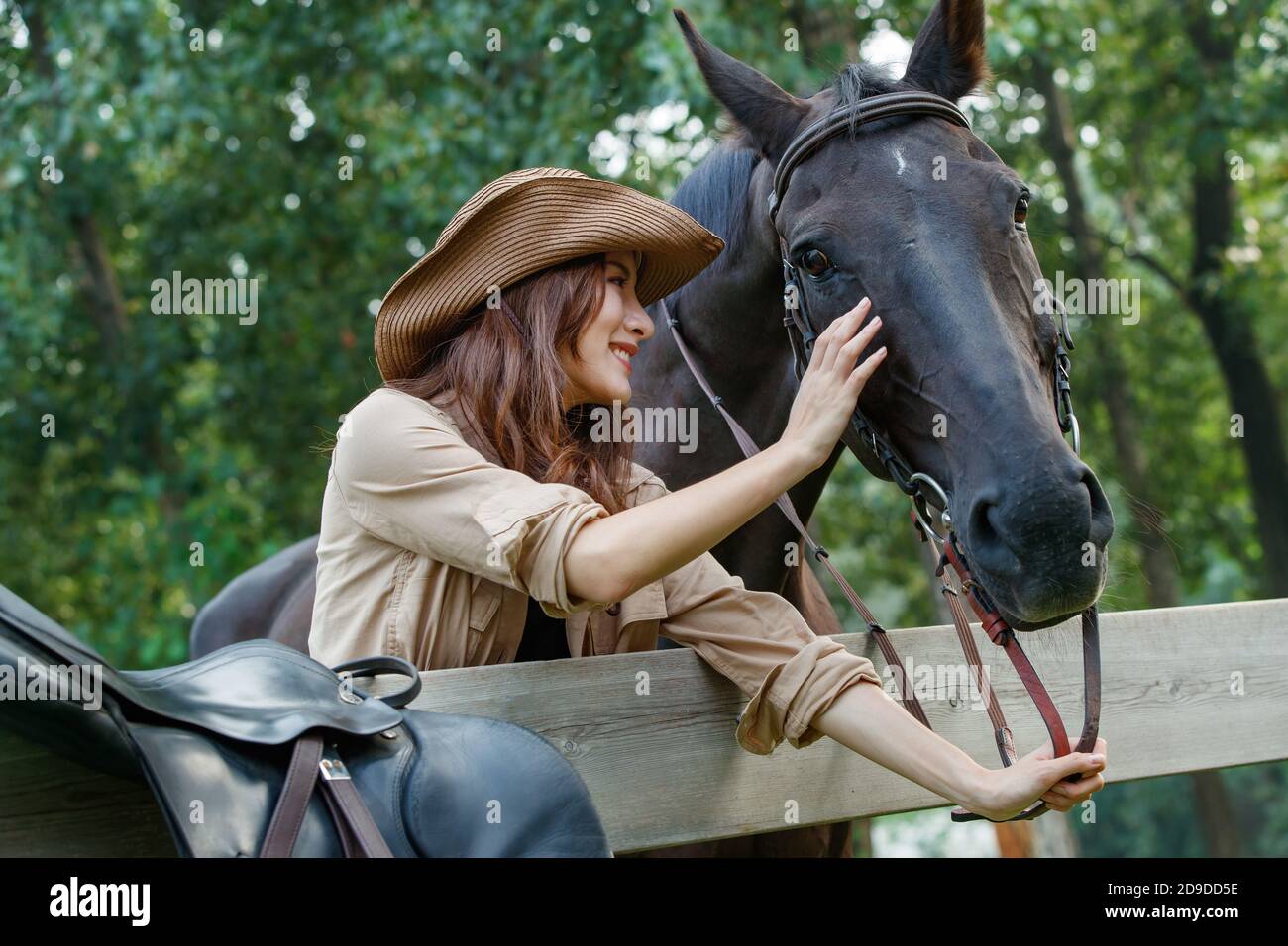 Outdoor young woman touch steed Stock Photo - Alamy