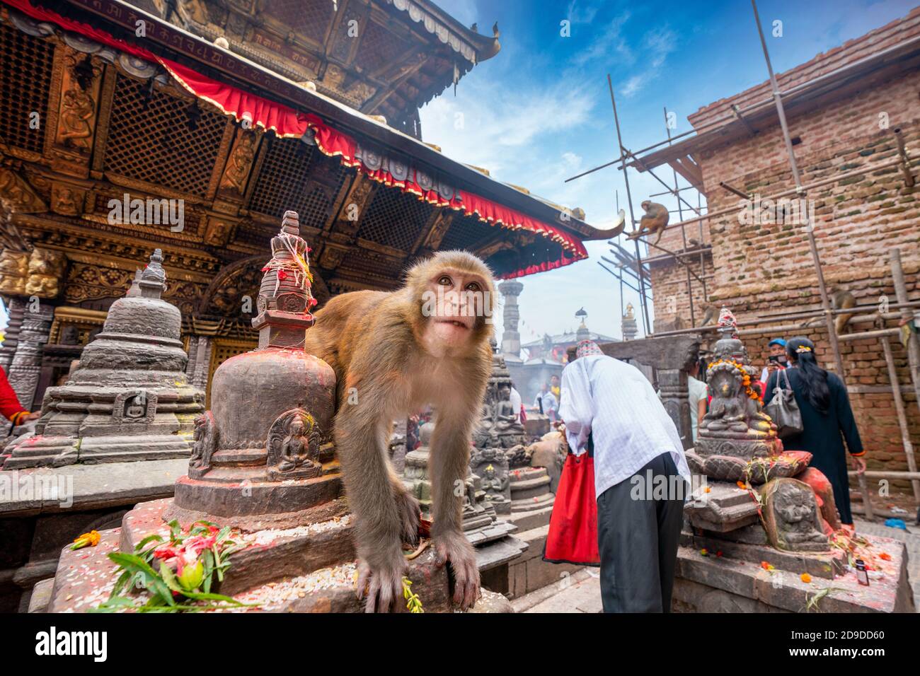 Swayambhunath, also known as the "monkey temple" due to the large ...