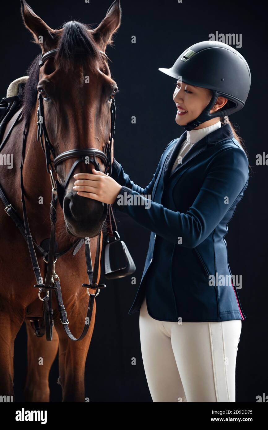 Young steed hi-res stock photography and images - Alamy