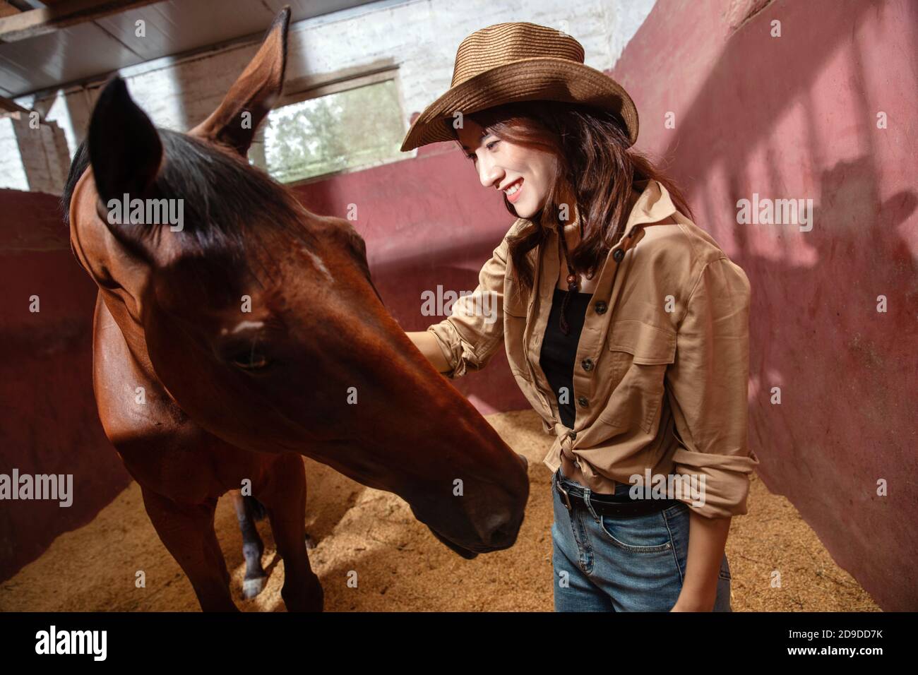 The stable of young women and horses Stock Photo - Alamy